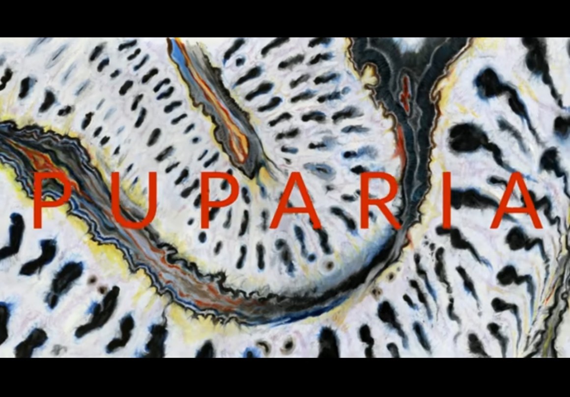 Outside and Beyond – Shingo Tamagawa’s Puparia (2021 ...